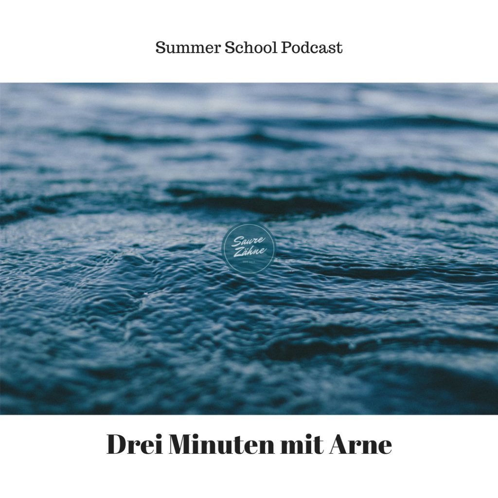 Drei Minuten mit Arne - Summer School Podcast von der Ostsee
